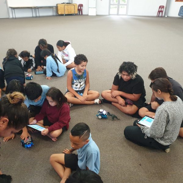 Enrolments – Te Papapa School